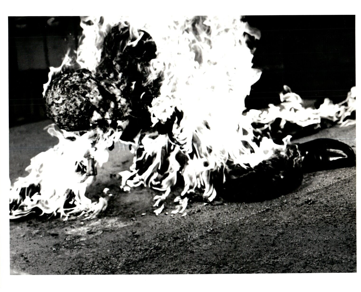 1993 Project Vampire Burning Brian Knudsen Horror Original Movie Photo ...