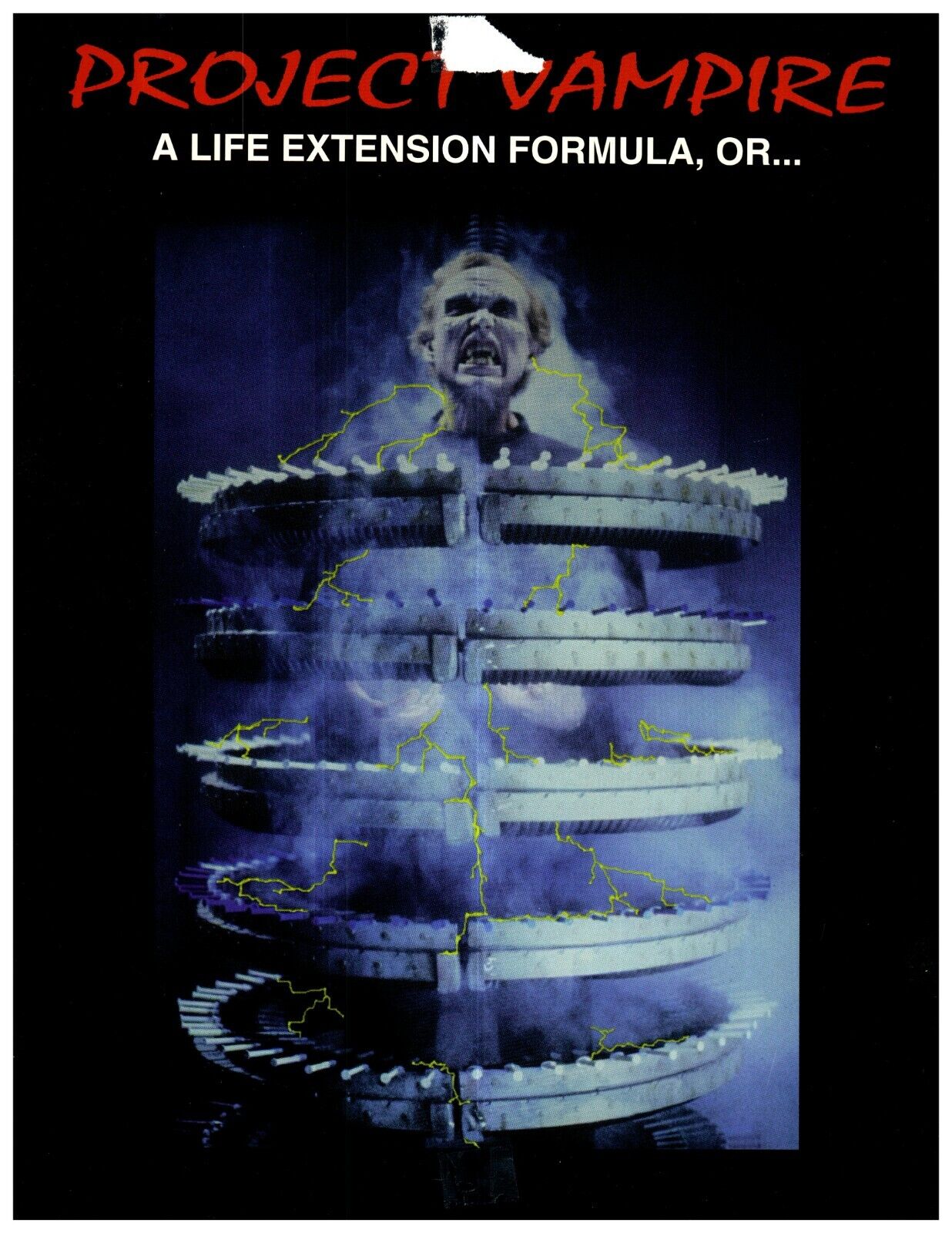 1993 Project Vampire Burn Bad Brian Knudsen Horror Original Movie Phot ...