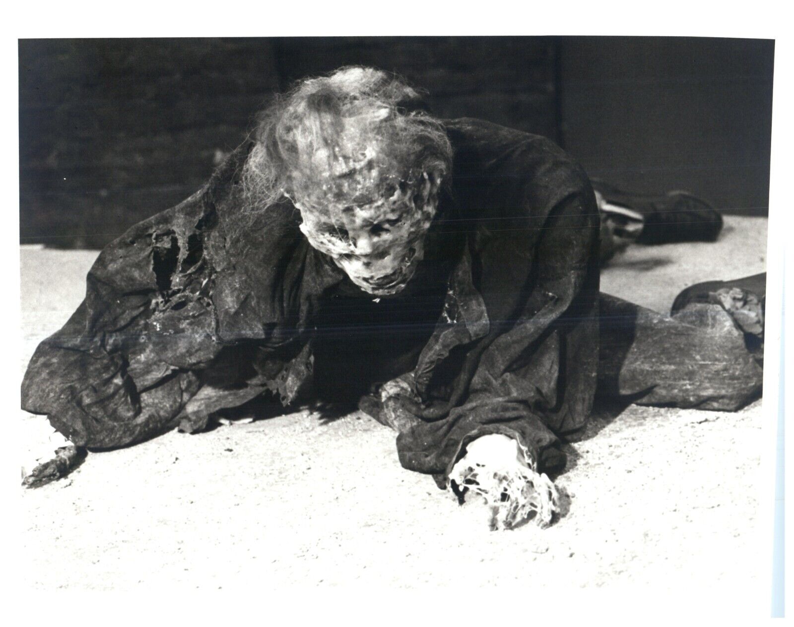 1993 Project Vampire Burn Bad Brian Knudsen Horror Original Movie Phot ...