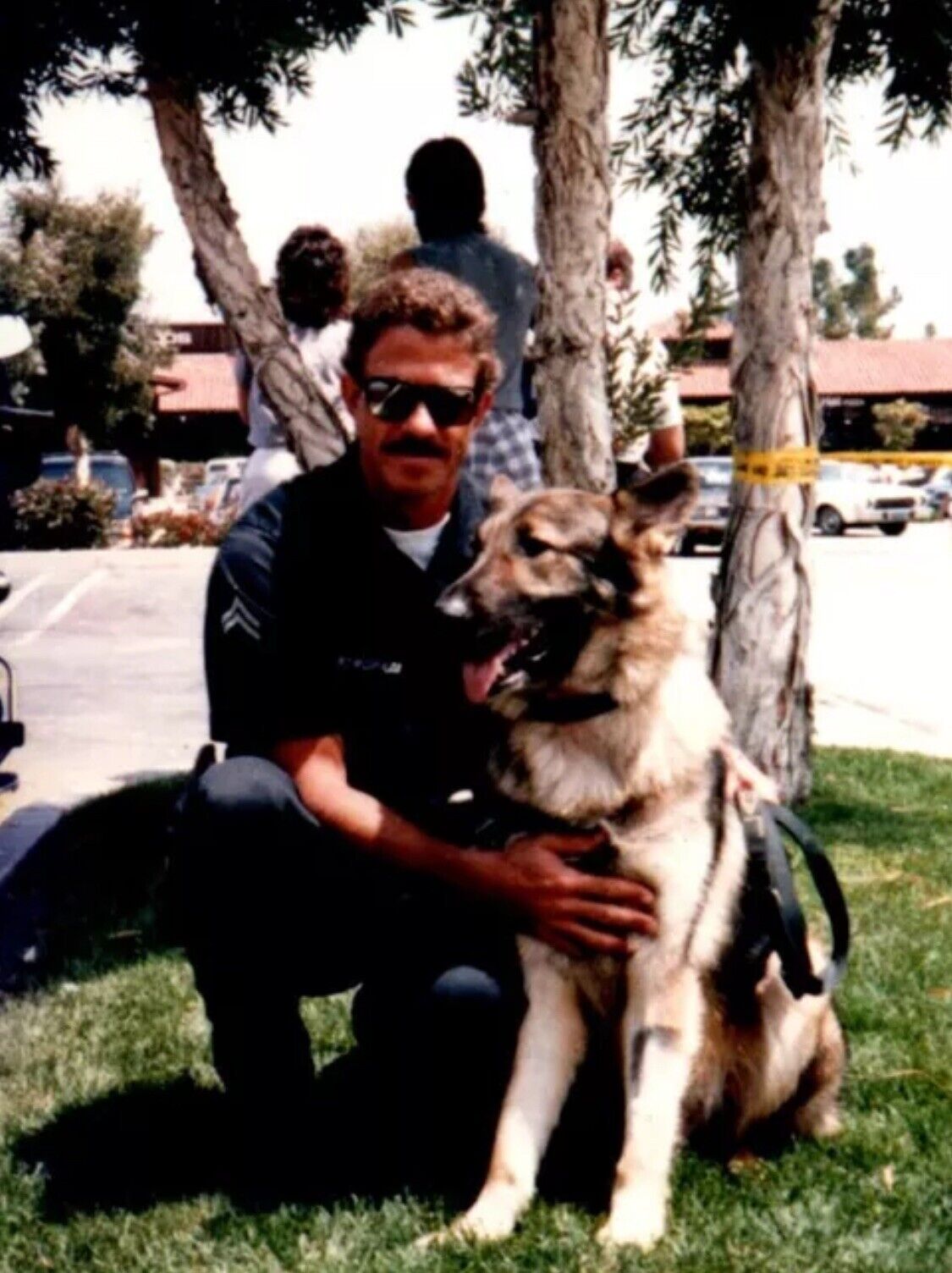 1970s LAPD Policema With K9 Dog Vintage Photo – techrewinds